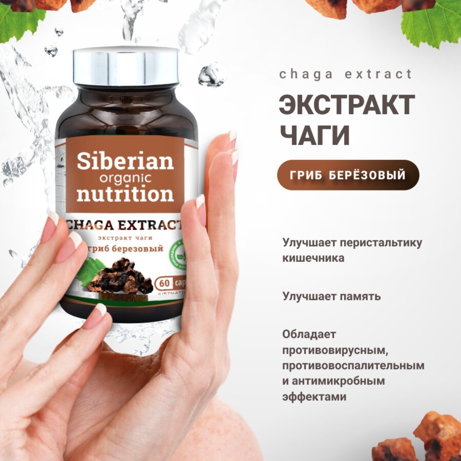 Экстракт Чаги Березовой, в капсулах, для иммунитета, 60 штук — фото 1