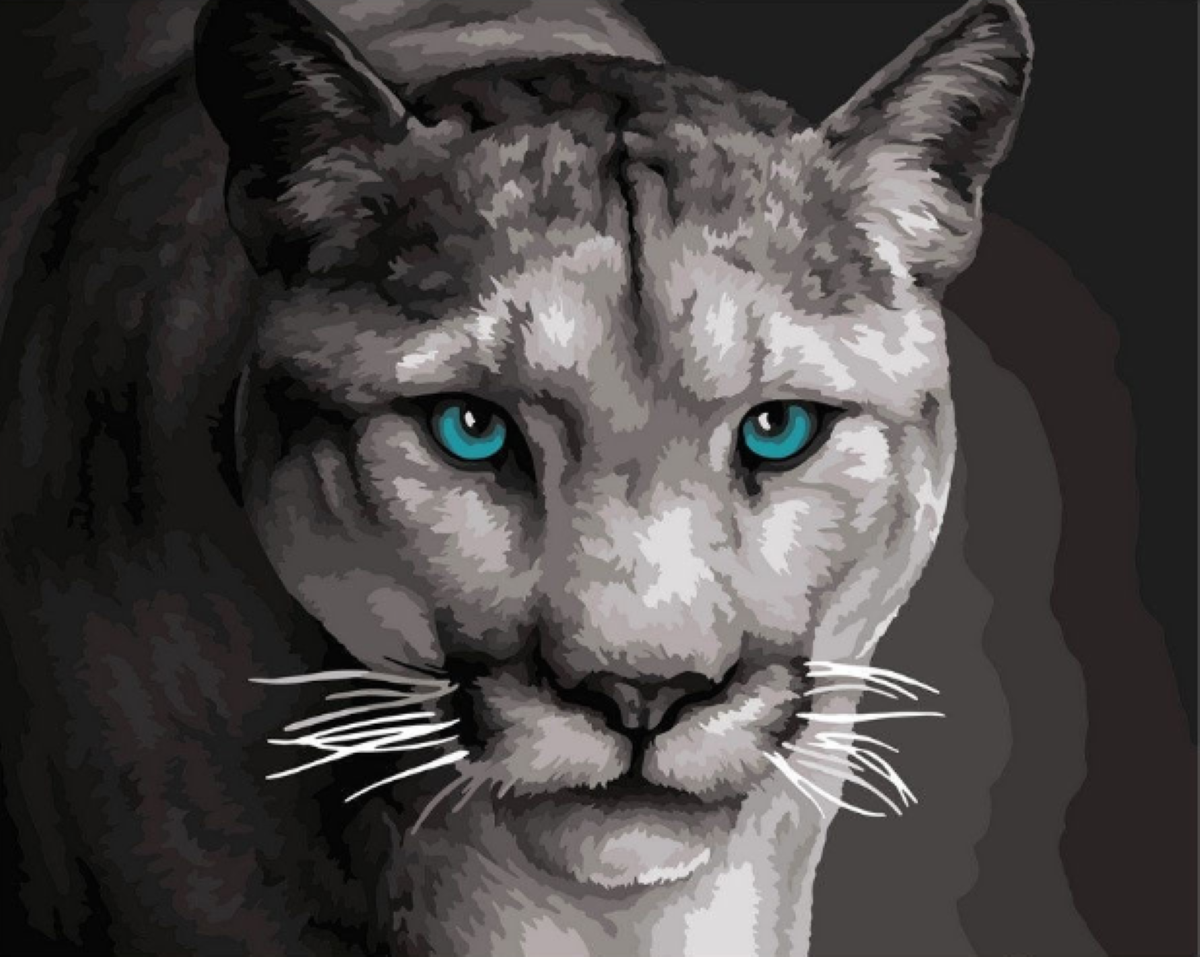 Картина по номерам "Пума" 40х50 см, хлопковый холст на подрамнике, акрил, Hobby Home