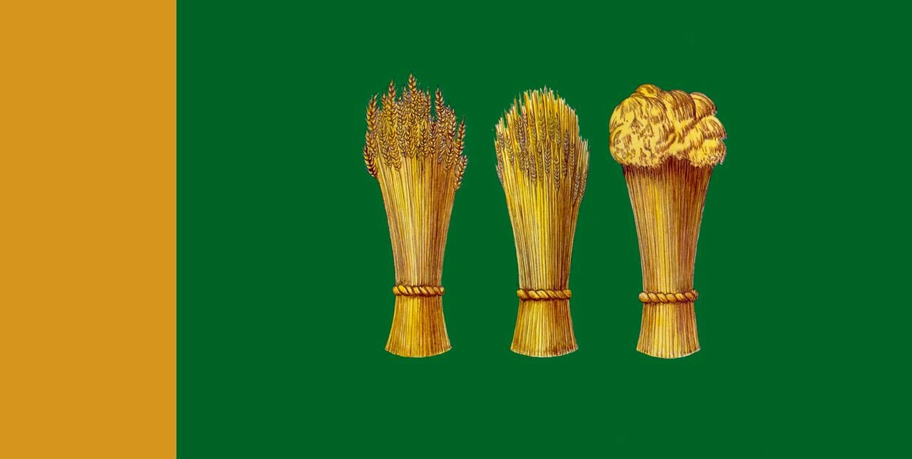 Флаг столицы субъекта РФ - Пенза, Размер: 75х50 см.