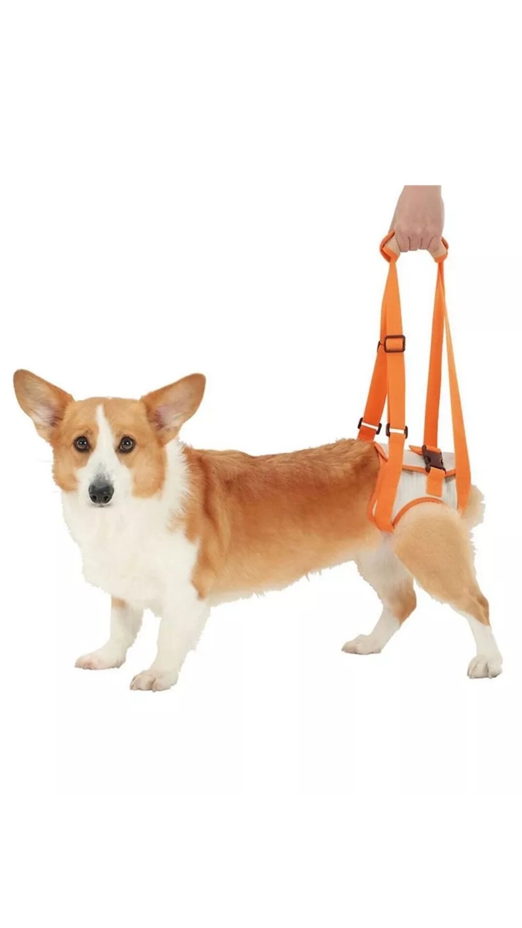 Поддержка (шлейка) задняя для собак с ручкой K 3L