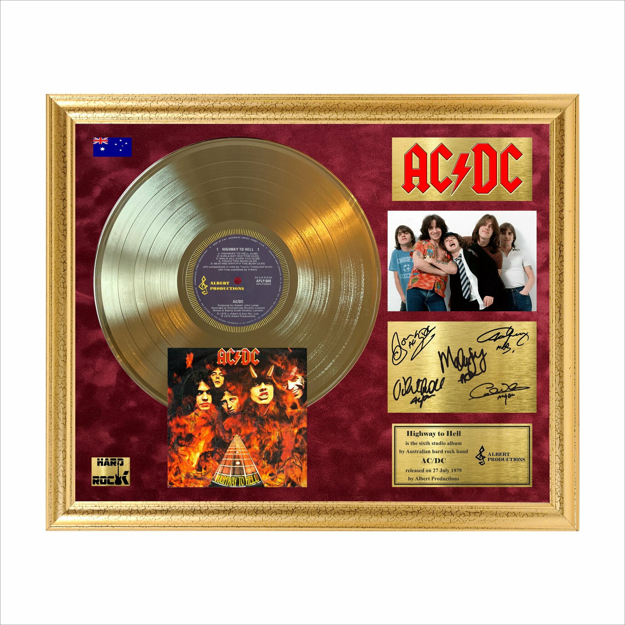 Золотая декоративная виниловая пластинка ACDC