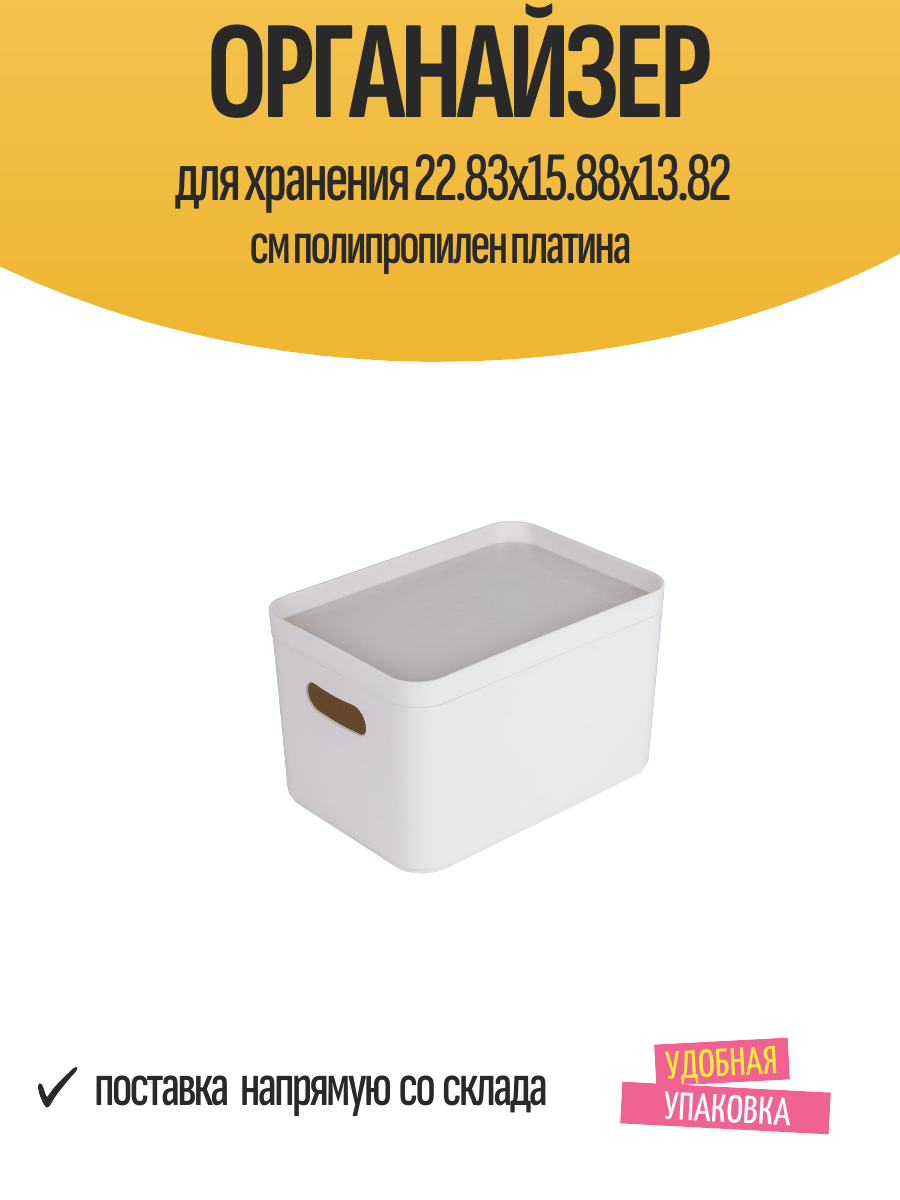 Органайзер для хранения 22.83x15.88x13.82 см полипропилен платина