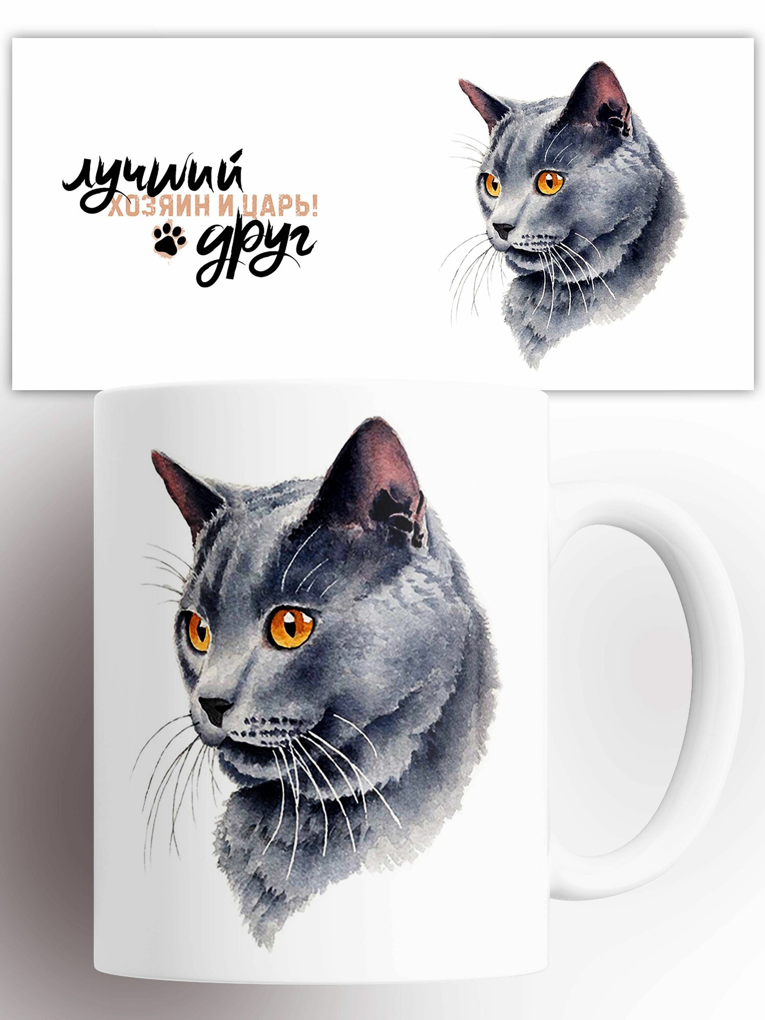 Кружка Британская кошка cat друг человека хозяин и царь кошкалюб с принтом 330 мл