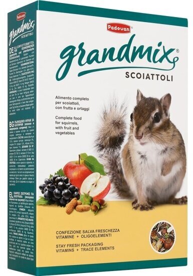 Корм Padovan Grandmix Scoiattoli комплексный для белок 750 г