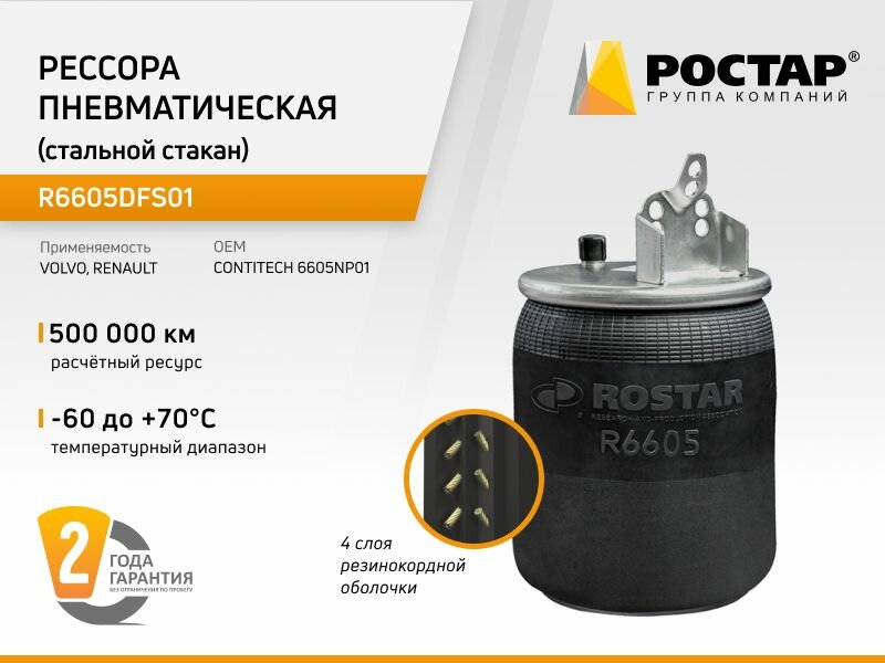 Рессора пневматическая (стальной стакан) R6605DFS01 (6605NP01)