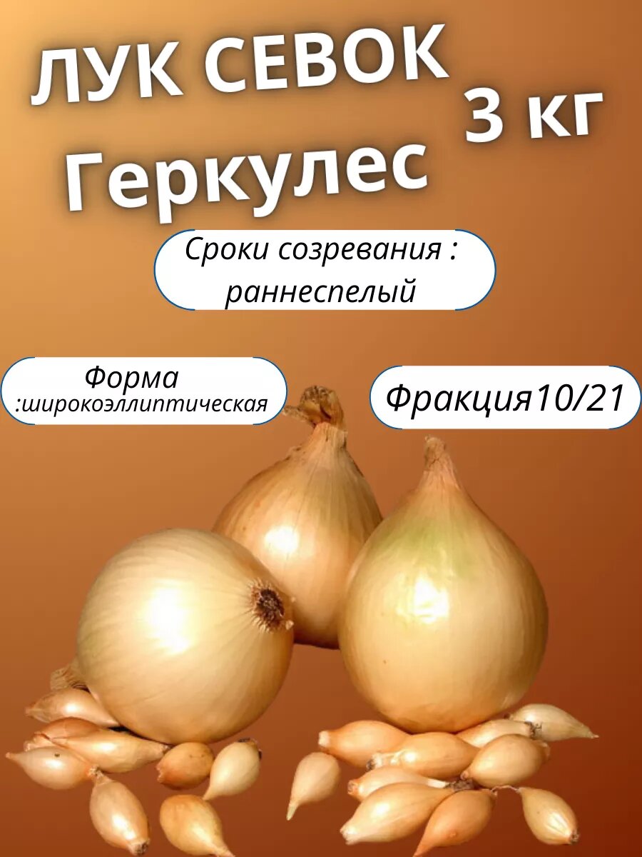 Лук севок Геркулес 3кг