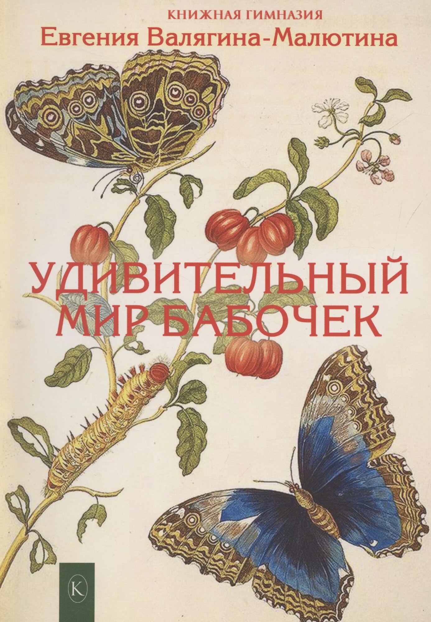 Удивительный мир бабочек