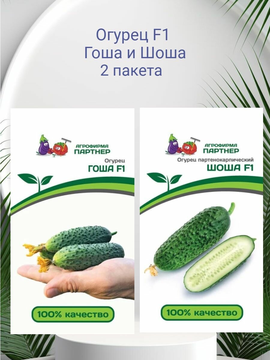Огурец Гоша F1 и Шоша F1 2 пакета