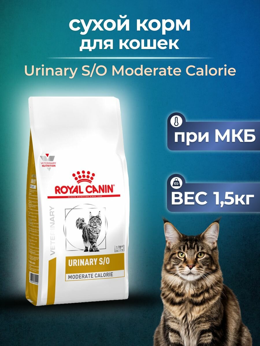Сухой корм Royal Canin Urinary S/O Moderate Calorie для кошек склонных к набору веса, профилактика и лечение мочекаменной болезни 1,5кг.