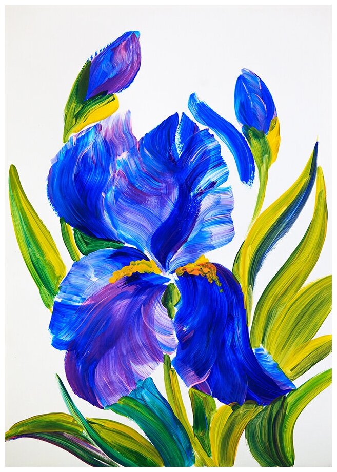 Фотообои Уютная стена "Выразительный ирис" 190х270 см Виниловые Бесшовные (единым полотном)