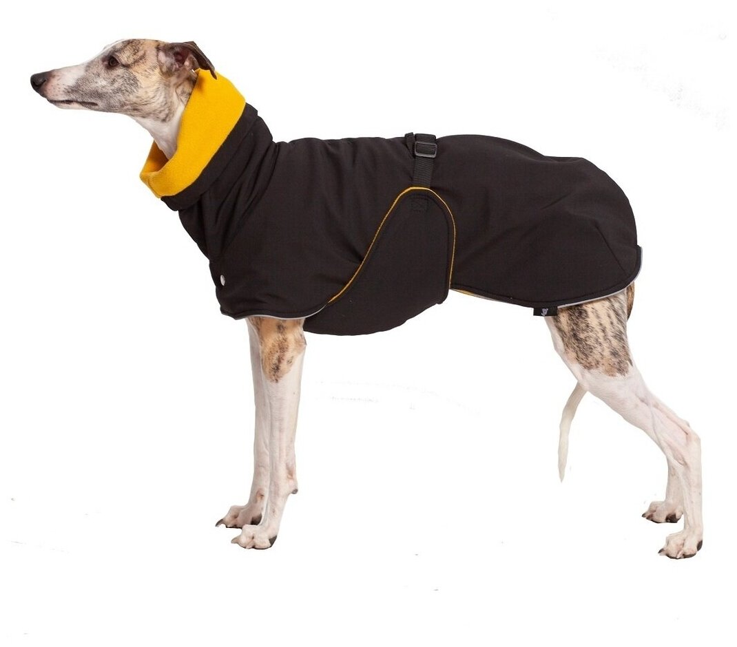 Попона для Уиппетов и бесхвостых собак, с низкоопущенным хвостом Монморанси, цвет: черный/желтый, размер М2