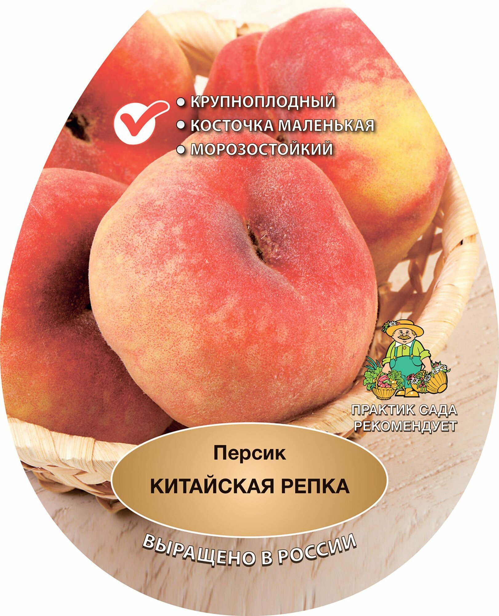 Растение поиск Персик, двухлетка, декоративно-плодовое, высота 100 см