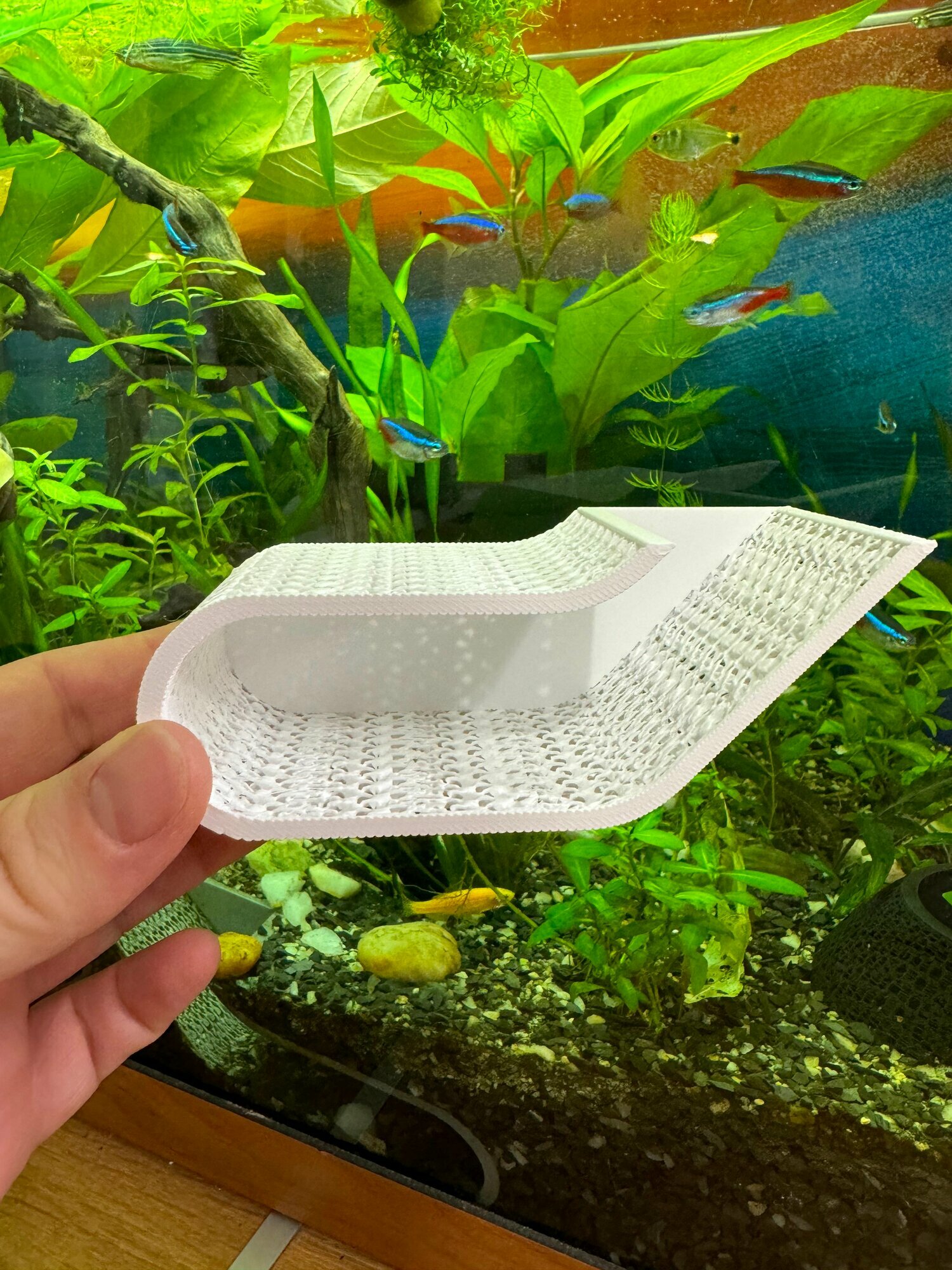 Домик-укрытие для сомиков и креветок (вход справа)