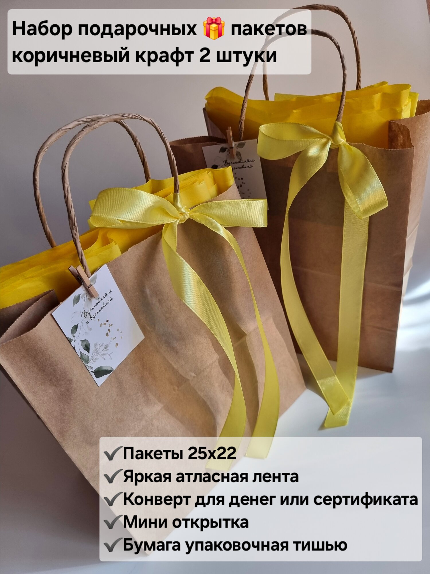 Пакет подарочный бумажный коричневый большой однотонный 22х12х25 с ручками, открыткой и конвертом для денег - набор 2 шт