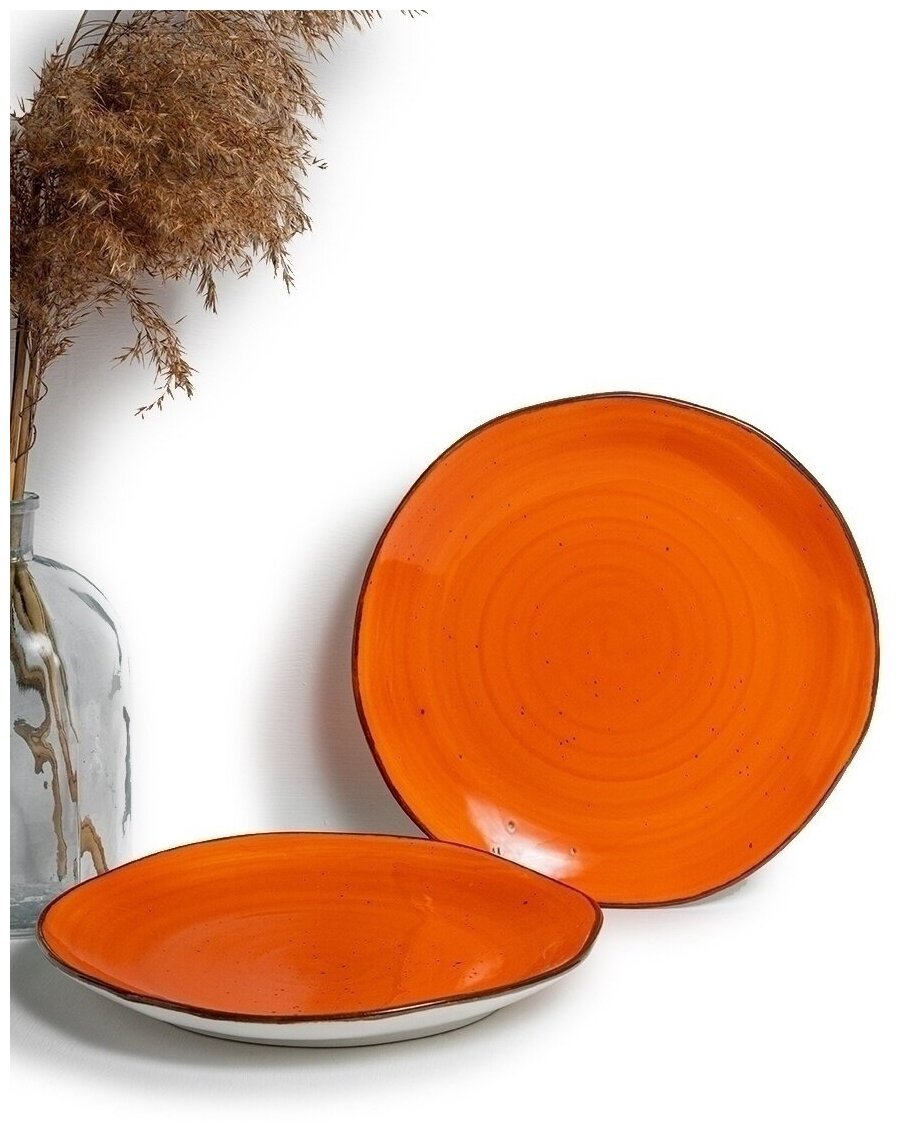 Набор из двух круглых обеденных тарелок 25,5 см - Фарфоровые тарелки - Ресторанный фарфор