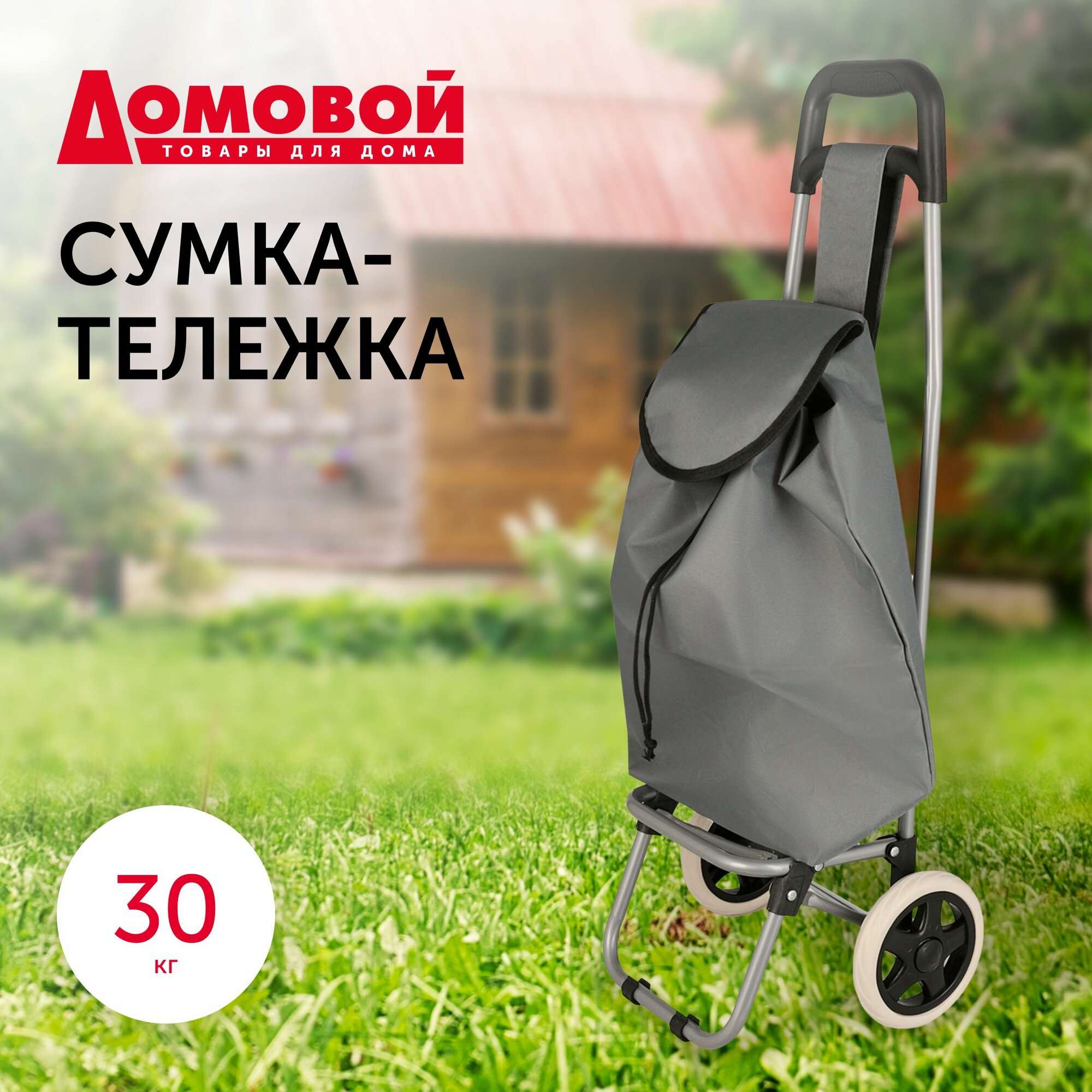 Сумка-тележка 