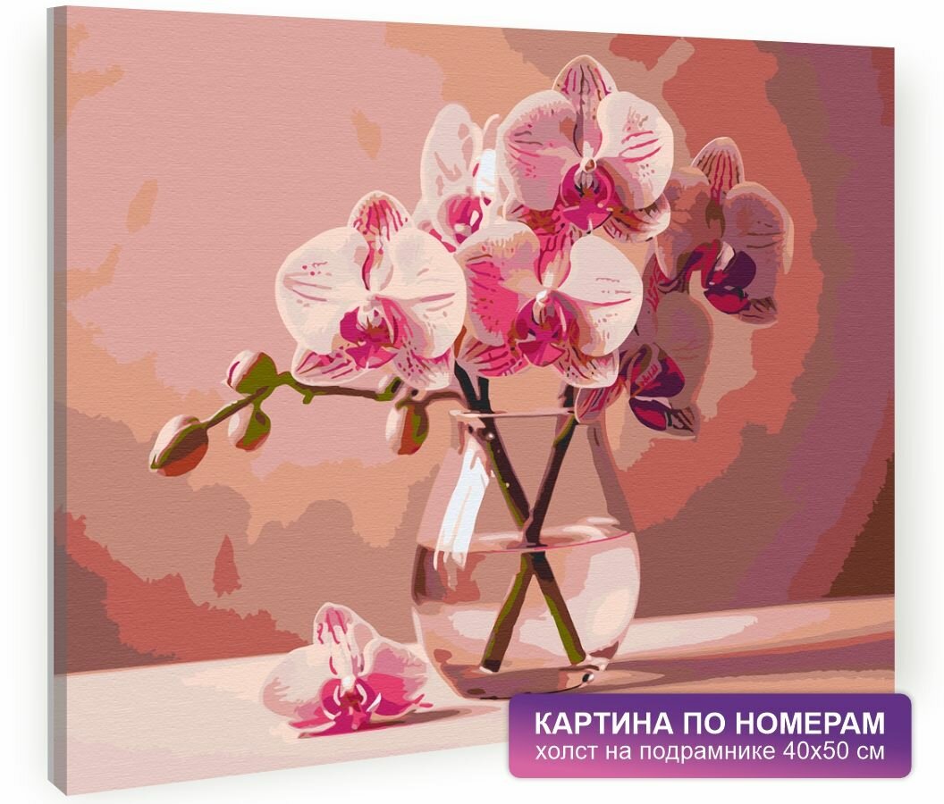 Картина по номерам на холсте с подрамником 40х50 см. Цветы, букеты. "Орхидеи", арт. 4908/