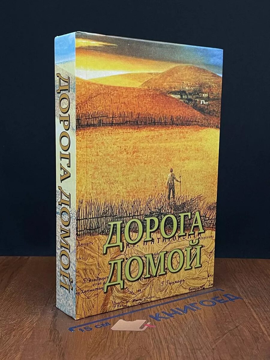 Книга. Дорога домой 2011 (2040801051281)