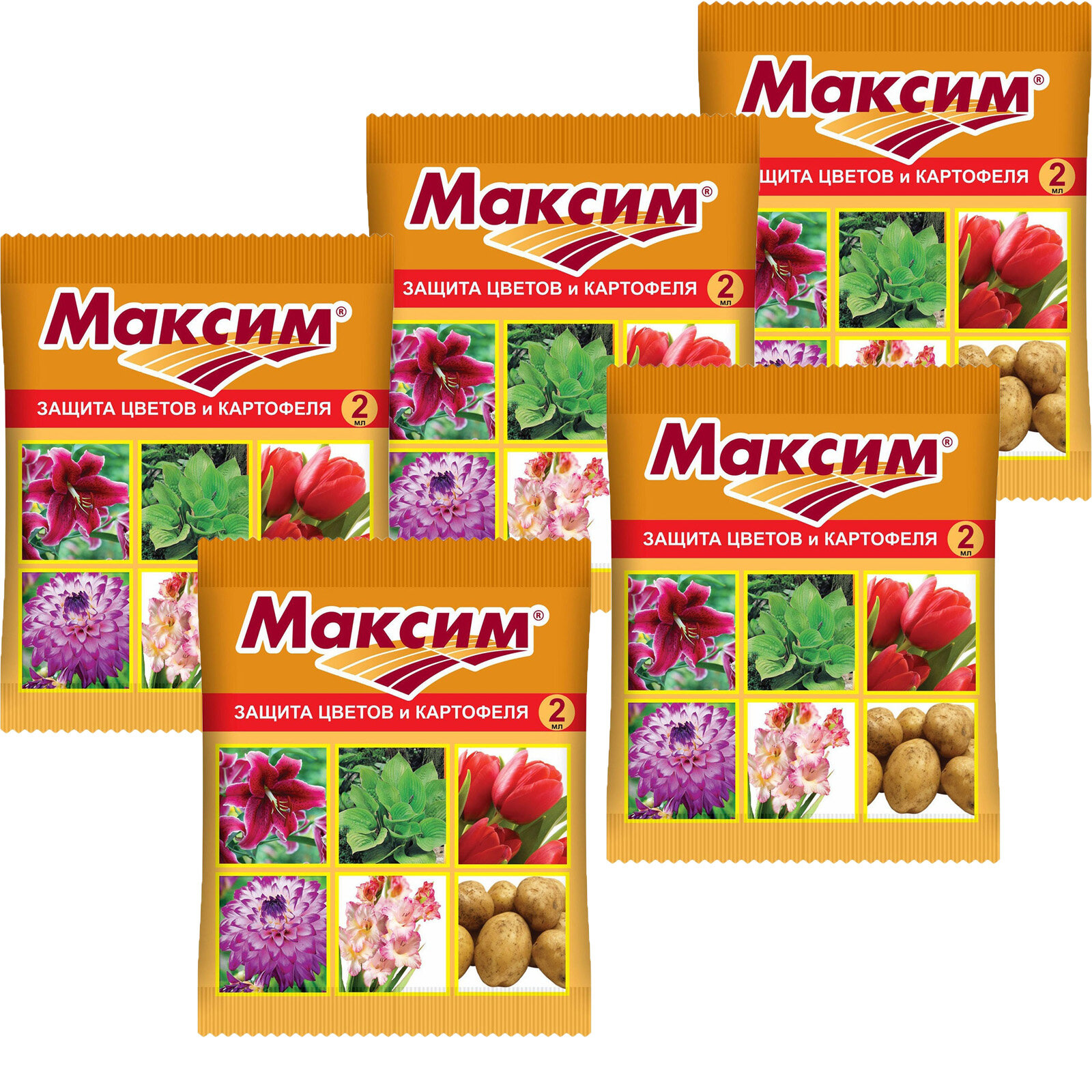 Максим, средство для защиты луковичных растений и семенного картофеля от болезней, 2 мл х 5 шт
