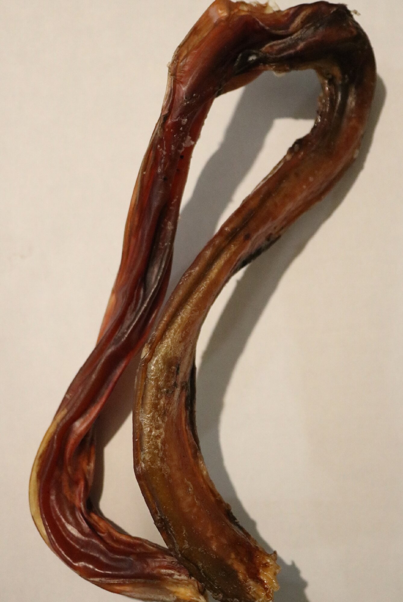 Корень сушеный говяжий, 1 шт, 60 см