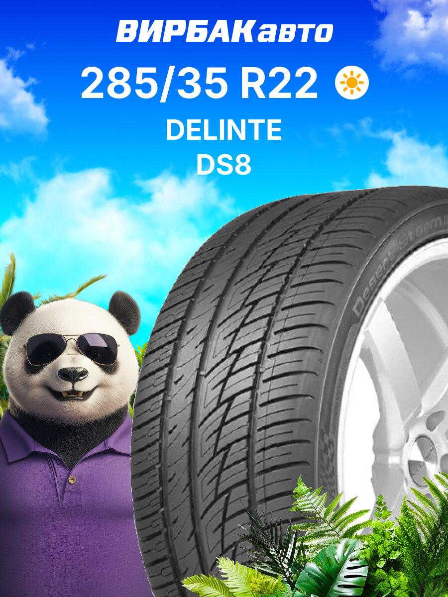Летние шины DELINTE DS8 285/35 R22 106Y