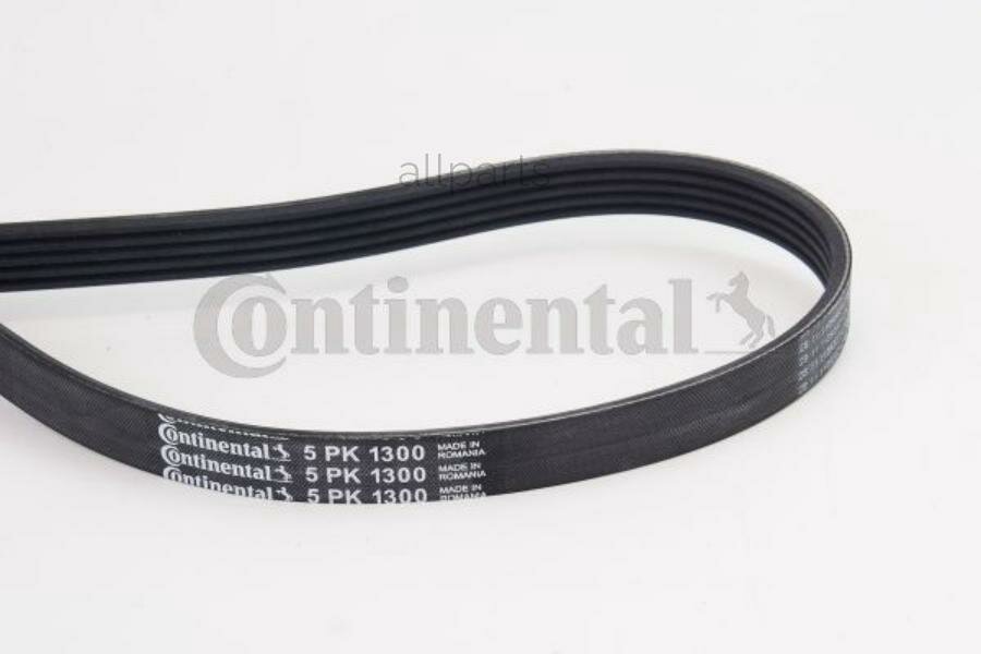 CONTINENTAL 5PK1300 ремень приводной