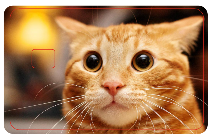 Наклейка на банковскую карту, стикер на карту, кот