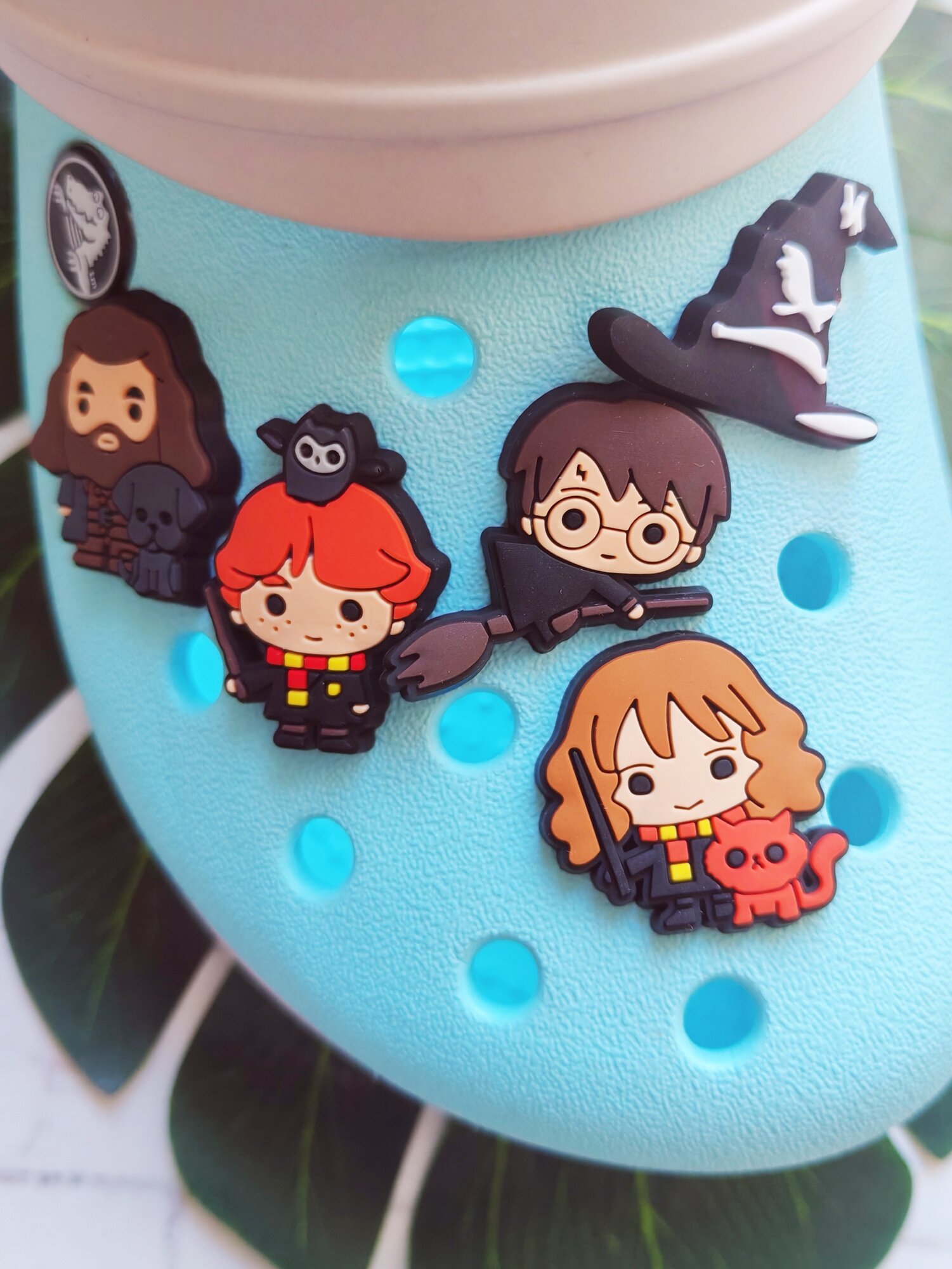 Джибитсы Гарри Поттер 5 jibbitz на Crocs