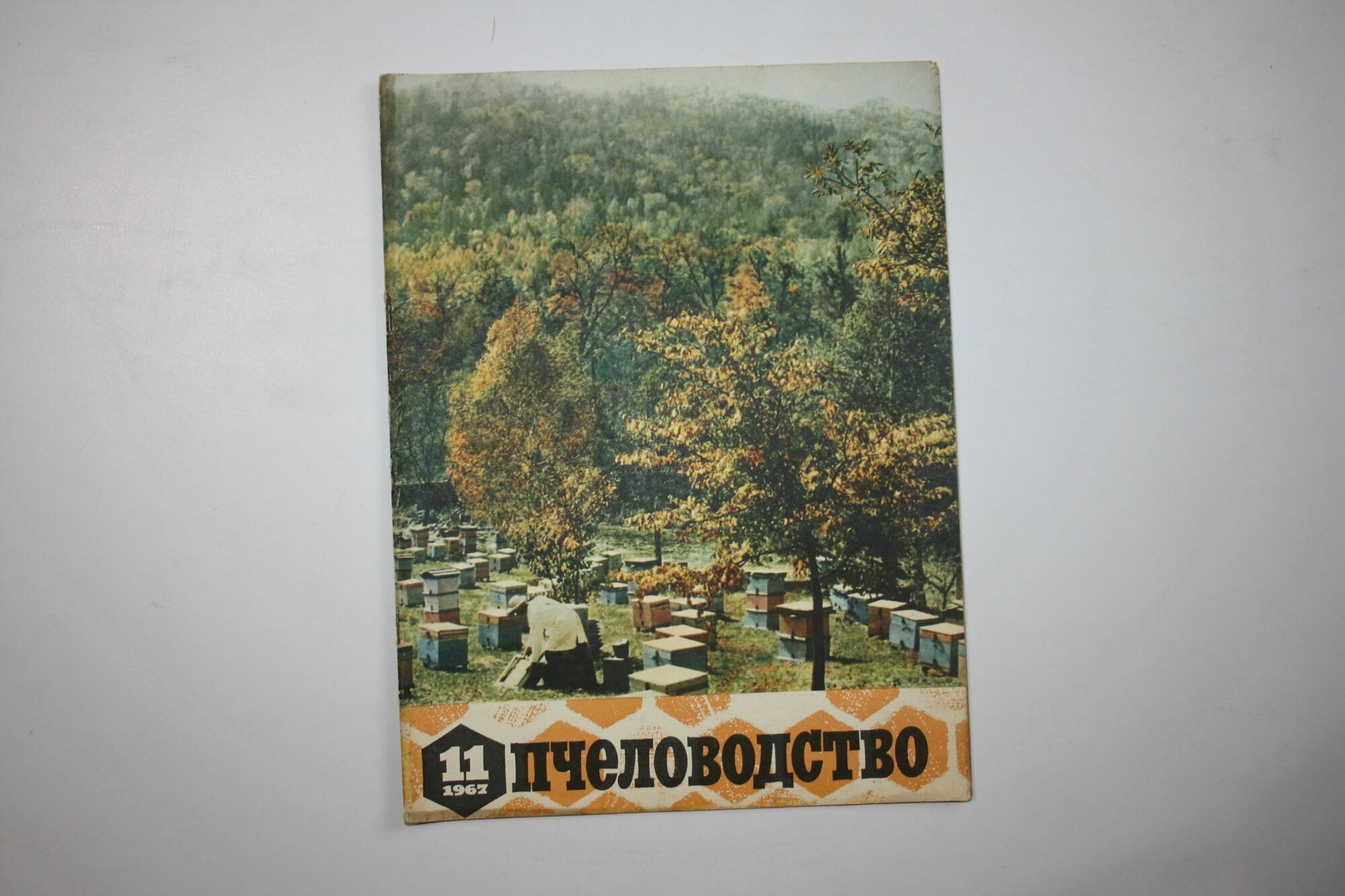 Журнал Пчеловодство № 11, 1967