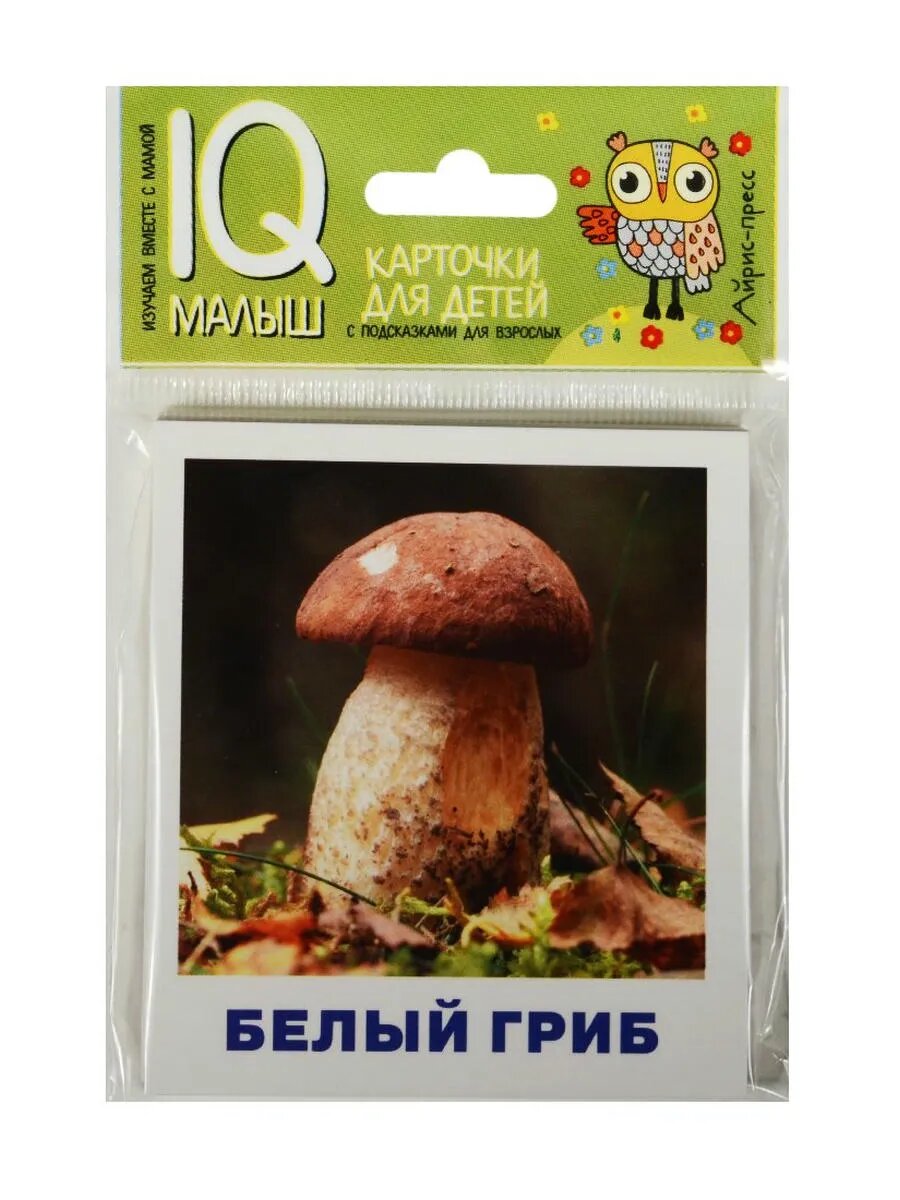 Умный малыш. Грибное лукошко. Набор карточек для детей.