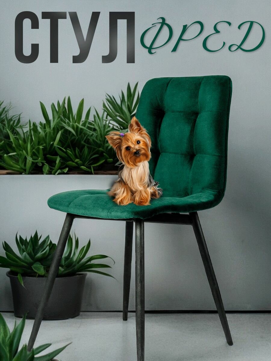 Стул для кухни мягкий со спинкой цвет изумруд велюр