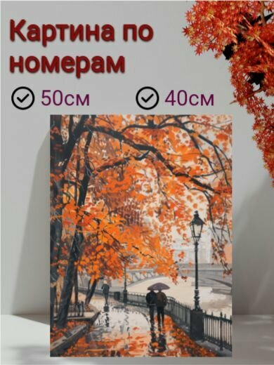 Картина по номерам: создайте шедевр своими руками! Kolibriki (размер 40х50 см)