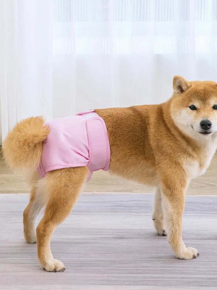 Физиологических штанах для собак и кошек, Подгузники для животных