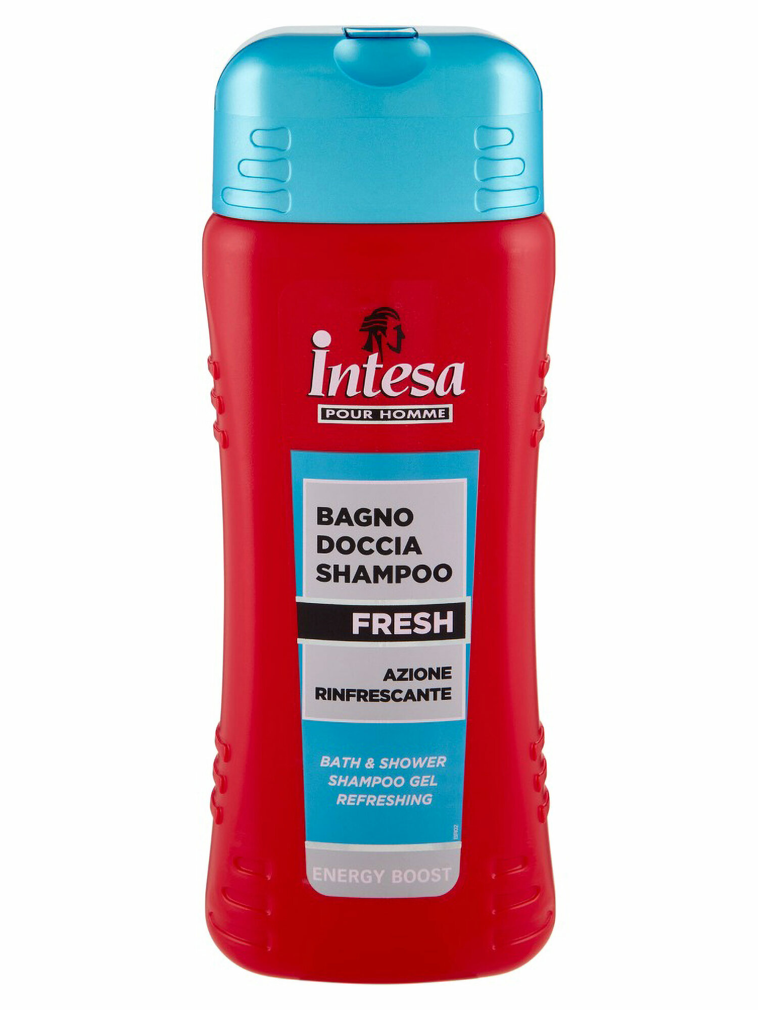 Шампунь-гель для душа мужской Intesa Energy Power Fresh 2-в-1, 500 мл