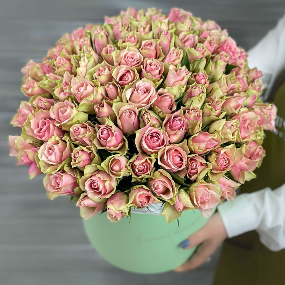 Букет живых цветов из 101 зелено-розовой Кенийской розы в шляпной коробке
