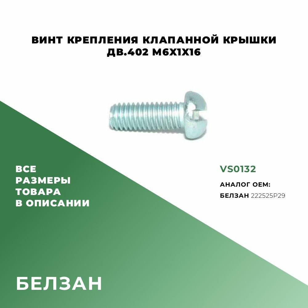 Винт клапанной крышки дв.402 M6х16х1; 10 шт; БелЗАН 222525P29; VS0132