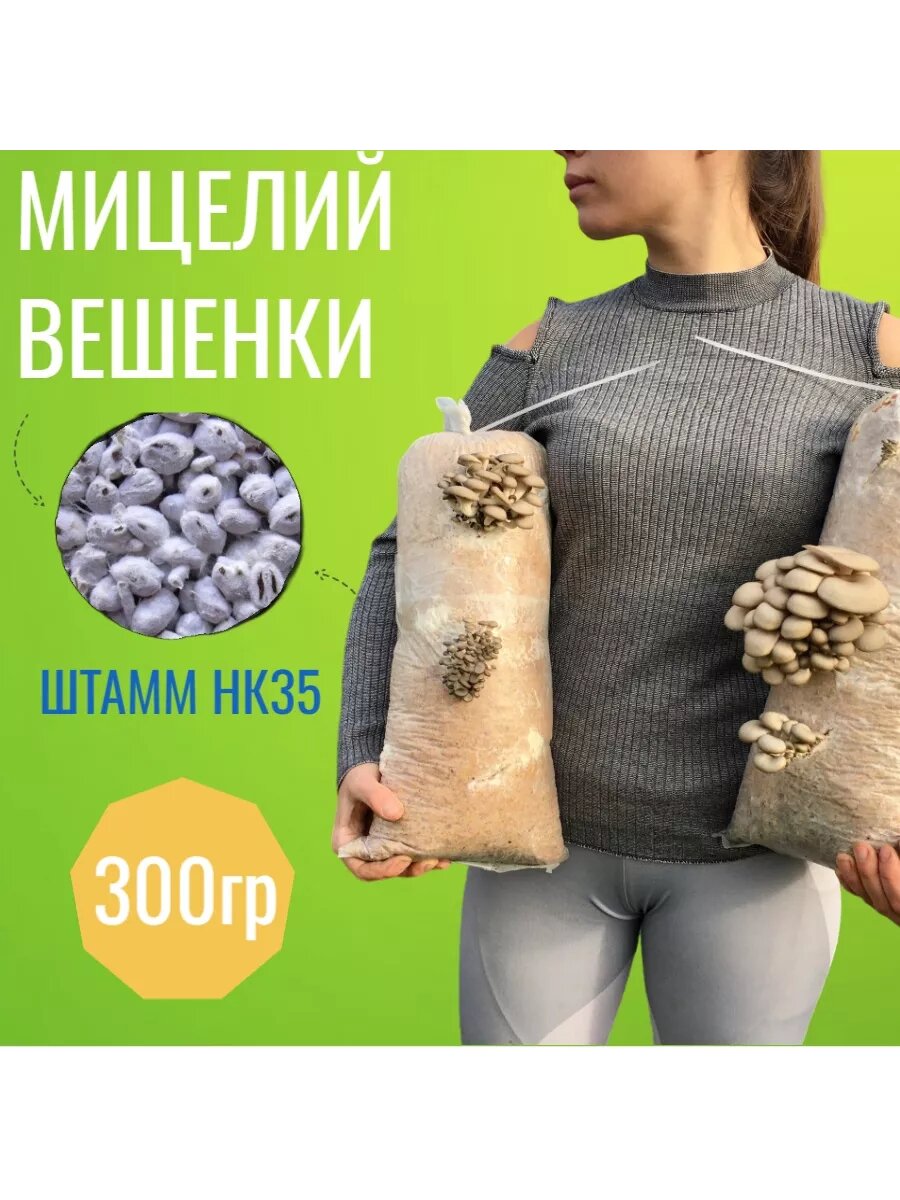 Мицелий грибов вешенка зерновой шт НК35 - 300 гр. 300 грамм