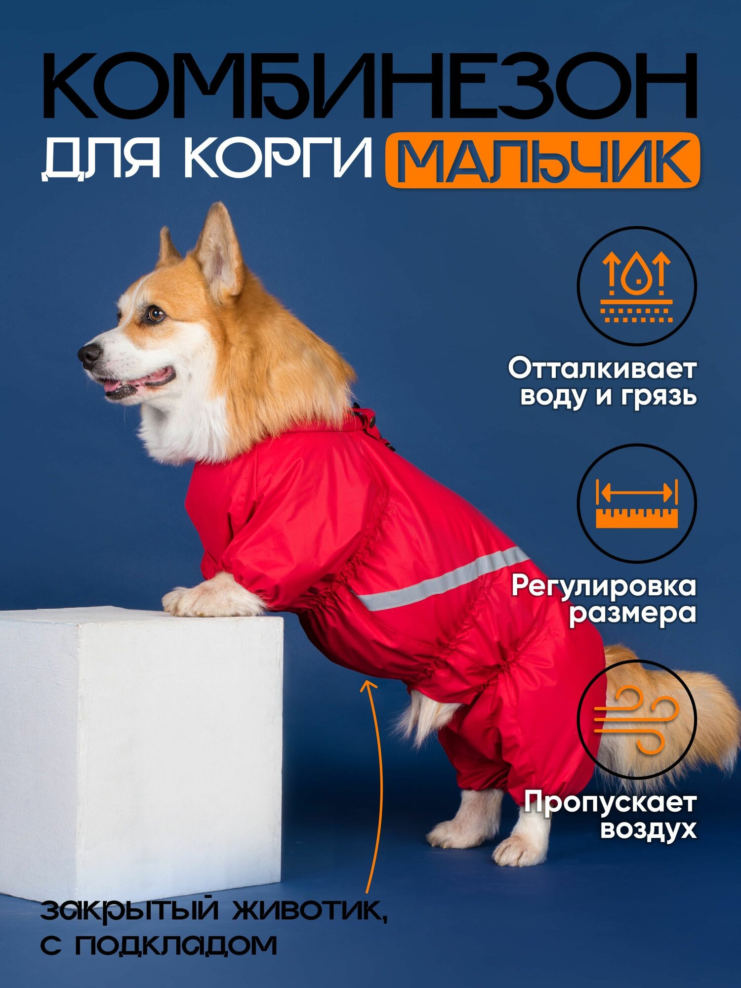 Водоотталкивающий комбинезон DiploDog для Корги (мальчик), Одежда для Корги (мальчик)