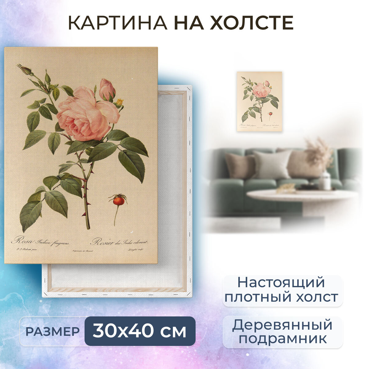 Картина на холсте с подрамником / Pierr - Joseph Redoute / Пьер-Жозеф Редуте