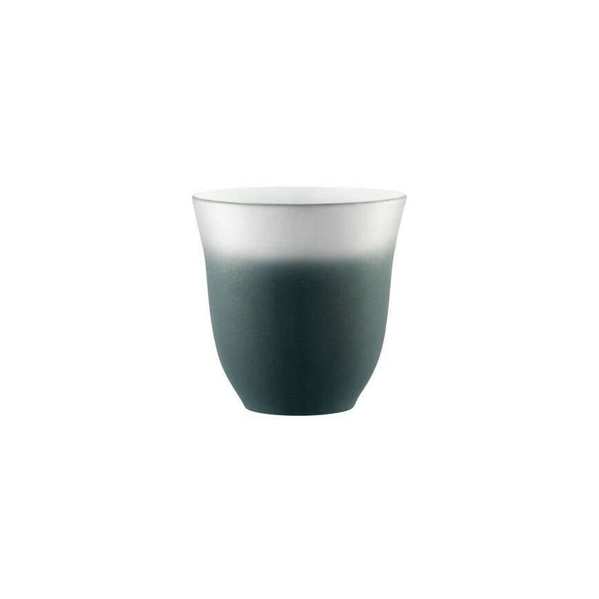 Кружка Guy Degrenne Illusions Sencha (250 мл), в подарочной упаковке