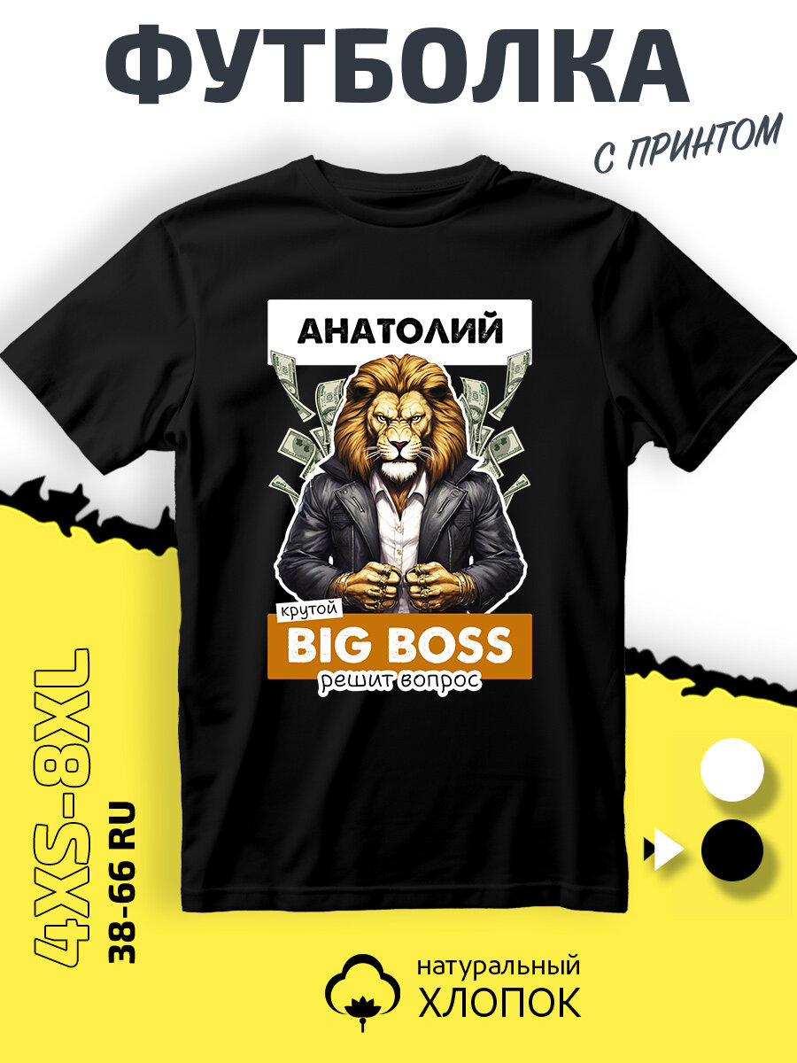 Футболка Анатолий Толик решит вопрос