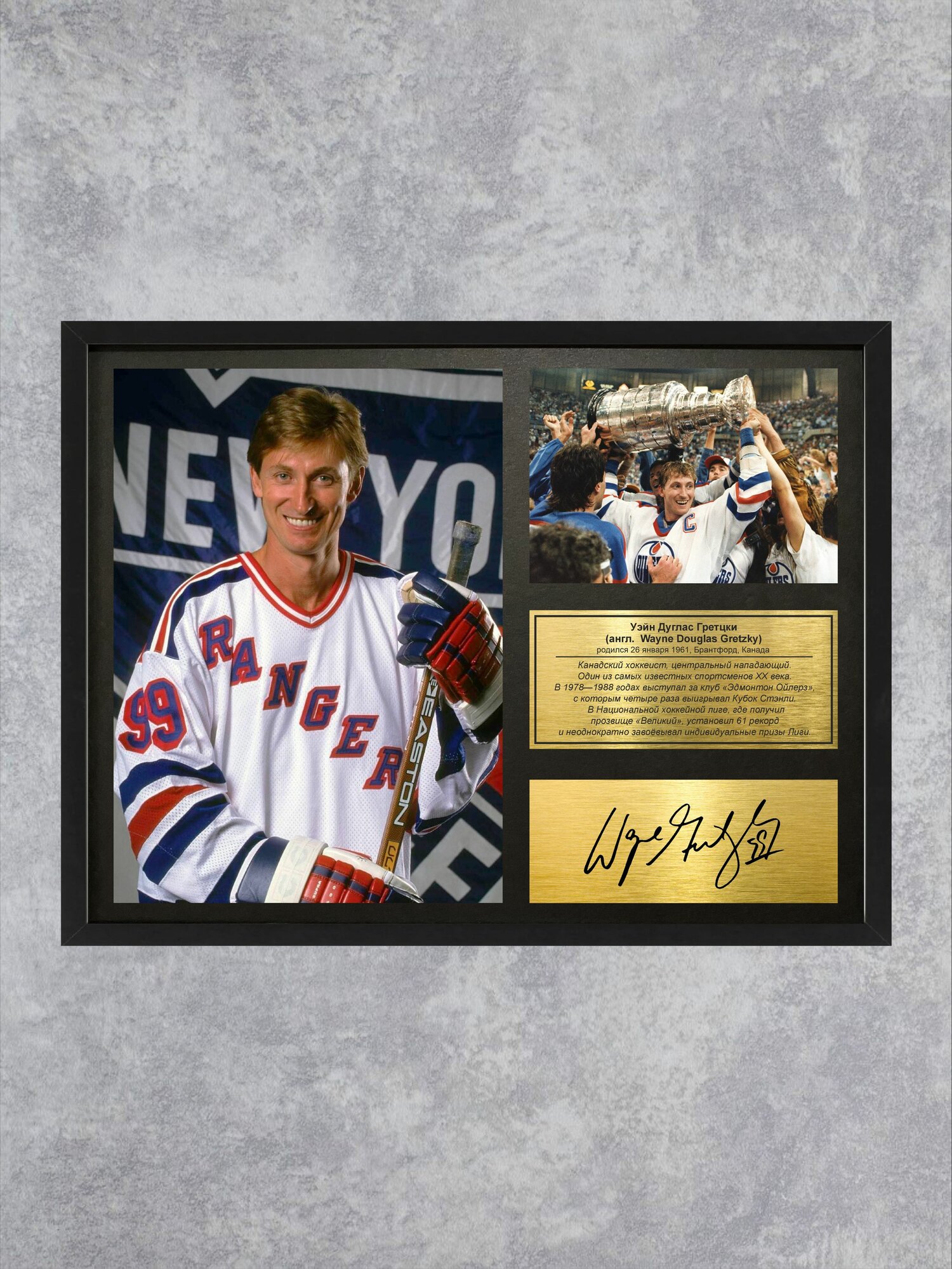 Золотистая картина с металлическими табличками Wayne Gretzky