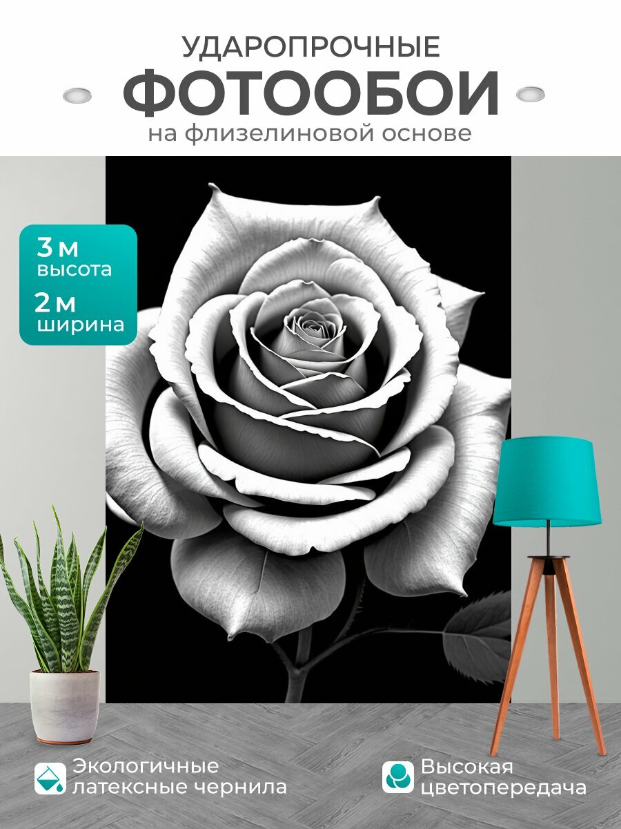 Фотообои моющиеся ударопрочные "Розы в стиле черно-белый, с текстурой, имитирующей холст, для профессионального художнического стиля" 200x300 см. флизелиновые на стену