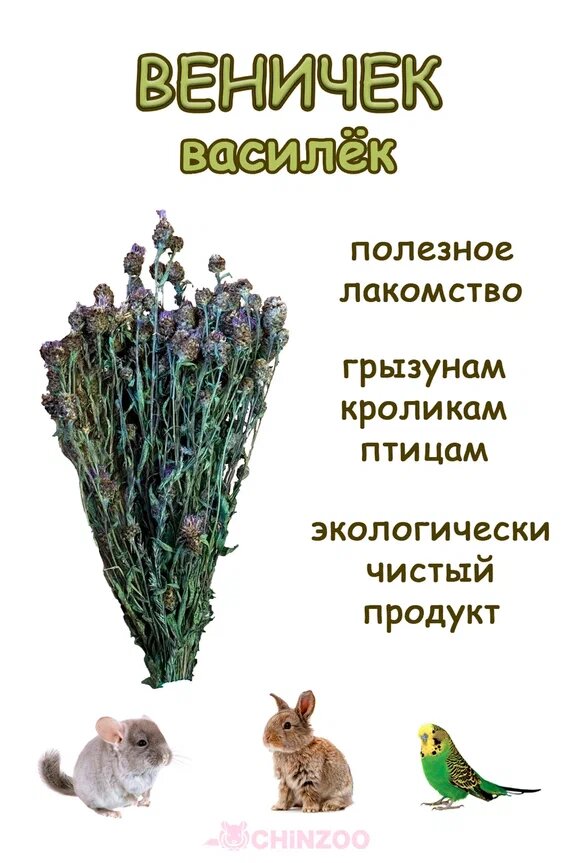 Лакомство для шиншилл, хомяков, морских свинок, дегу, крыс, песчанок и кроликов ChinZoo веник василька