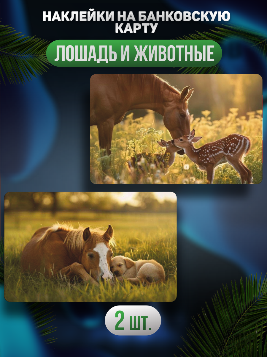 Наклейка на карту Лошади Конный спорт