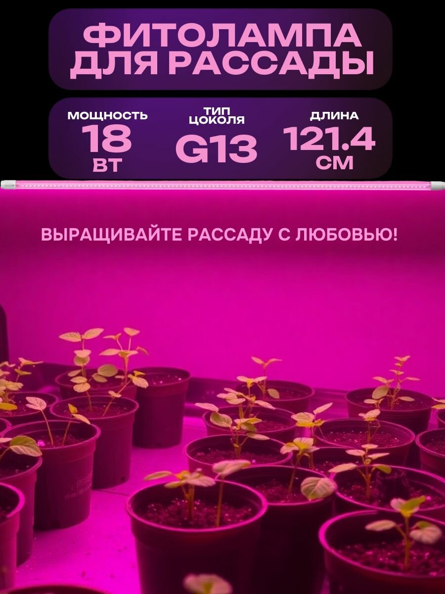 Фитолампа для растений светодиодная, 121.4 см, Т8, цоколь G13, 230 В, 18 Вт, туба 800 лм: подходит для выращивания крепкой здоровой рассады на подоконнике.