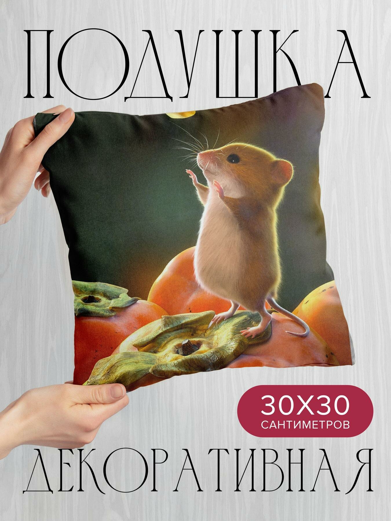 Подушка декоративная, 30x30см / Арт / мышь / грызун