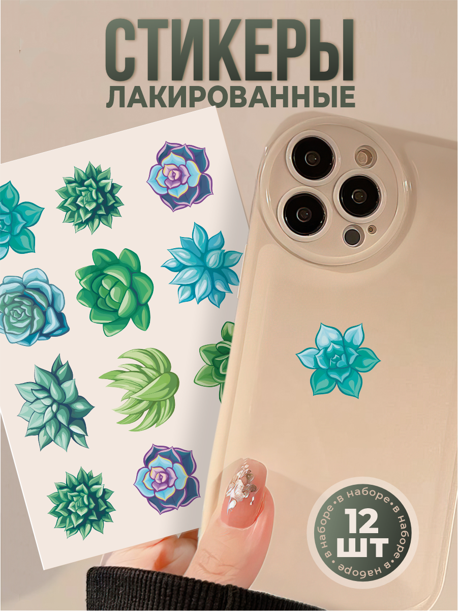 Наклейки стикеры лакированные на телефон Суккуленты