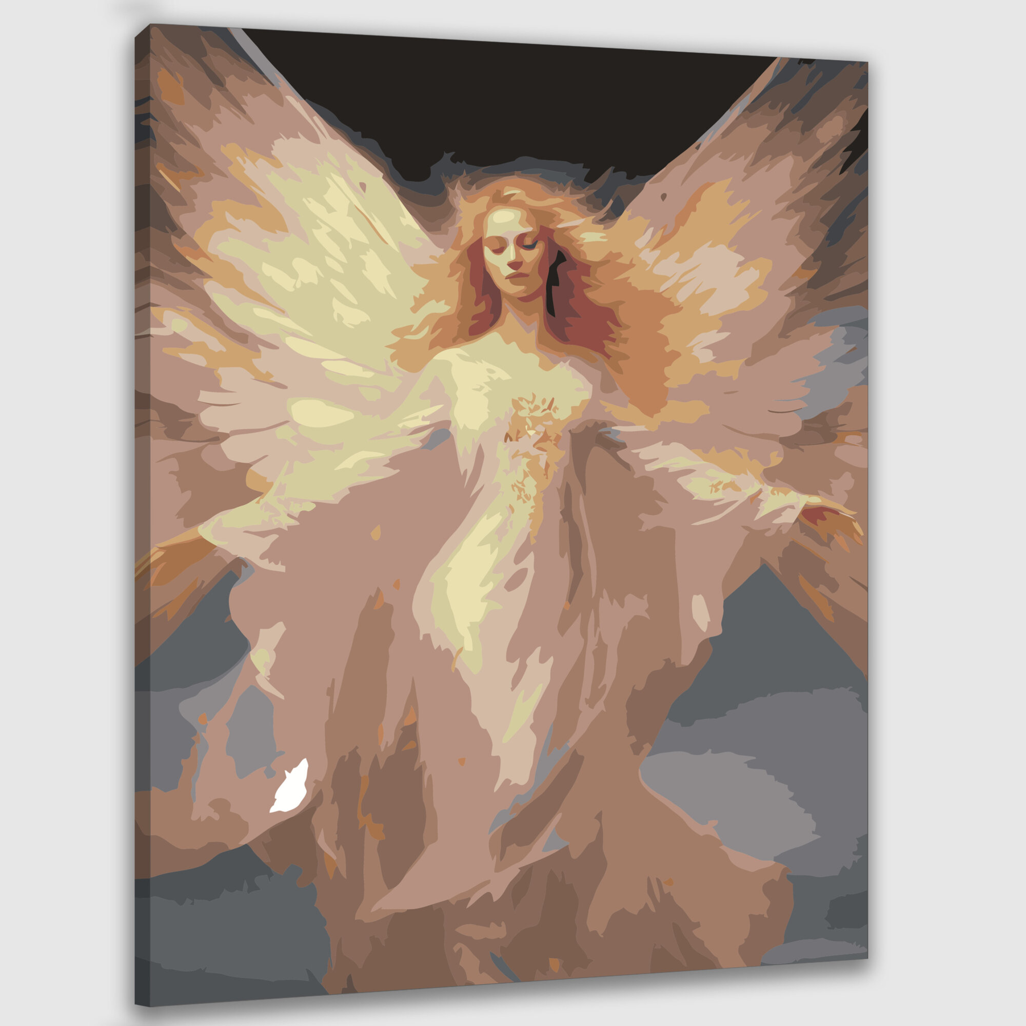 Картина по номерам 40x50 см, картина, масло, ангел, крылья, серебряные, свет, небесный, божественная красота, грация