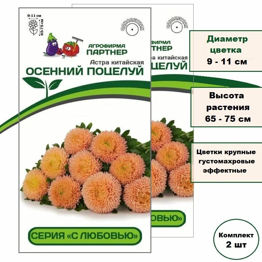 Семена астра Осенний Поцелуй / однолетние цветы / фирма Партнер, комплект 2 шт